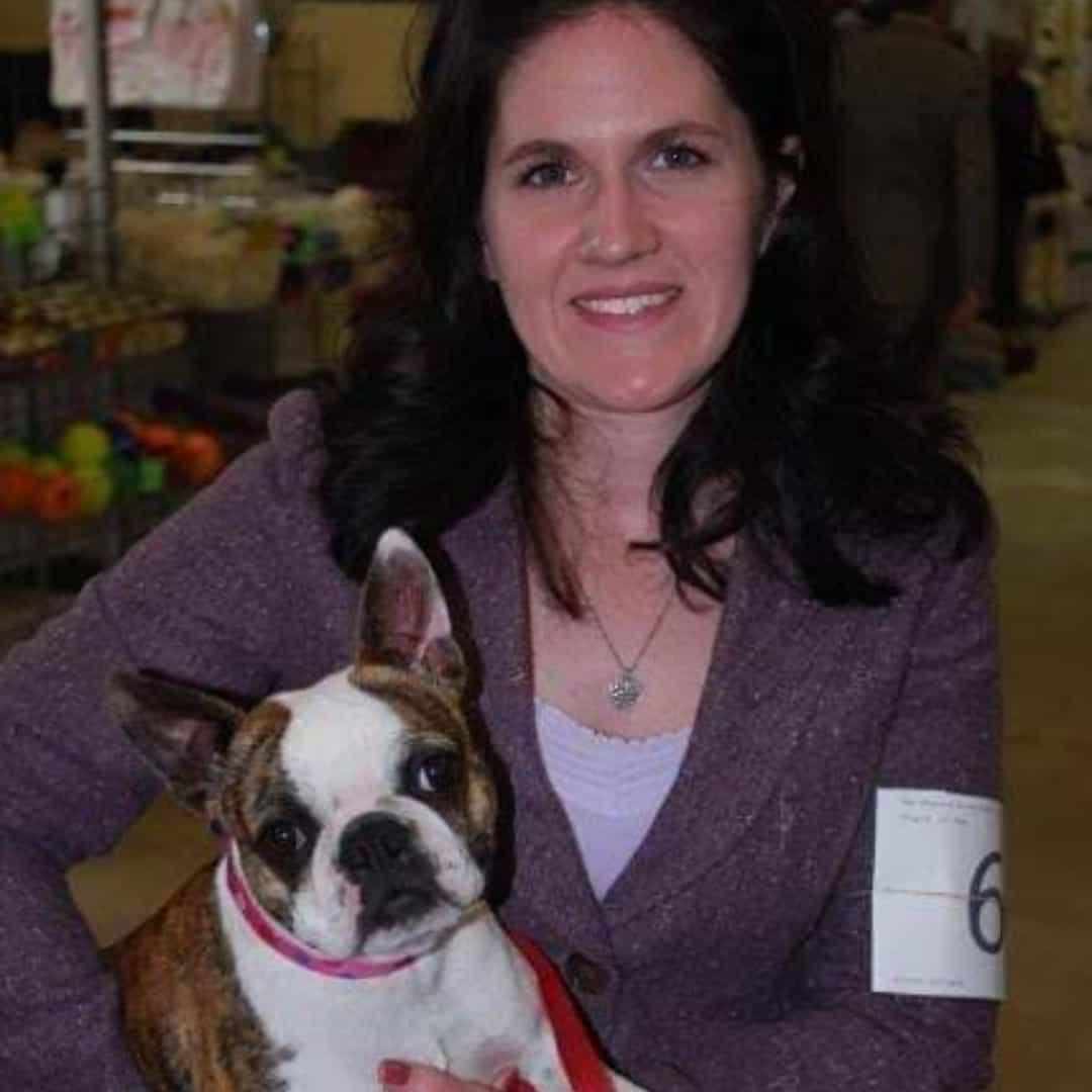The Buying Process: Boston Terrier Breeder Exclusive Interview - Boston ...