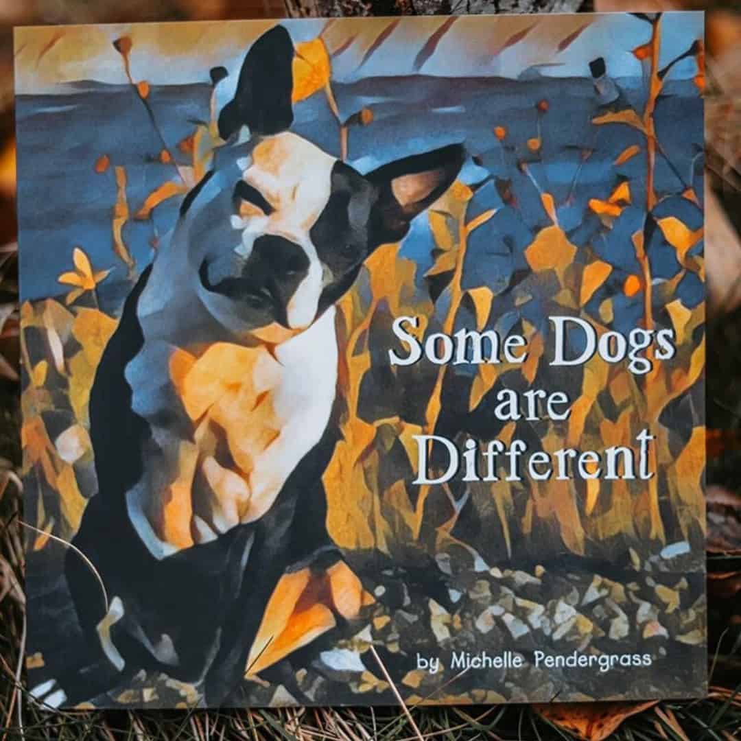 The Perfect Boston Terrier Children’s Book: Author Interview - Boston ...