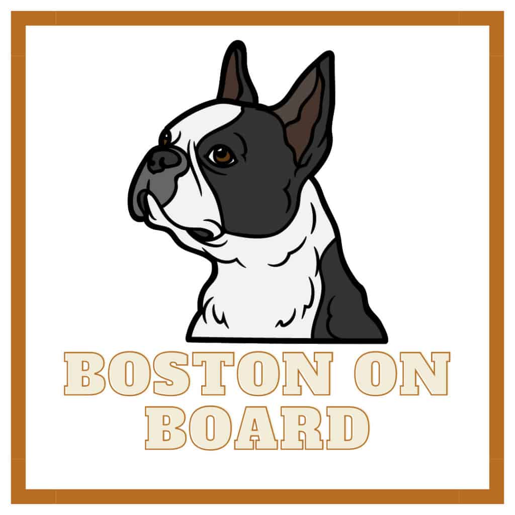 5 Of The Best Dog Car Seats For Boston Terriers - Boston Terrier Society