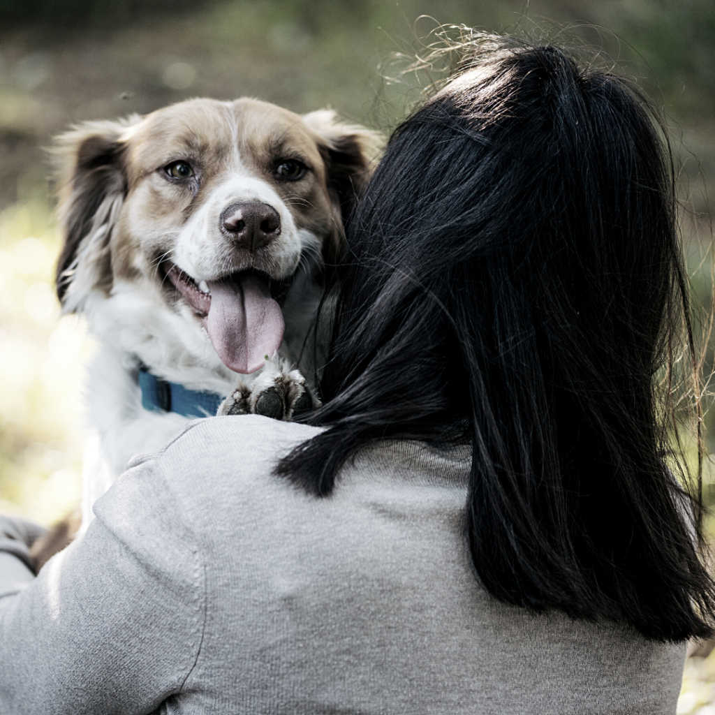 Best 317+ Pet Cemeteries In The U.S. - For Your Beloved Dog (Phone ...
